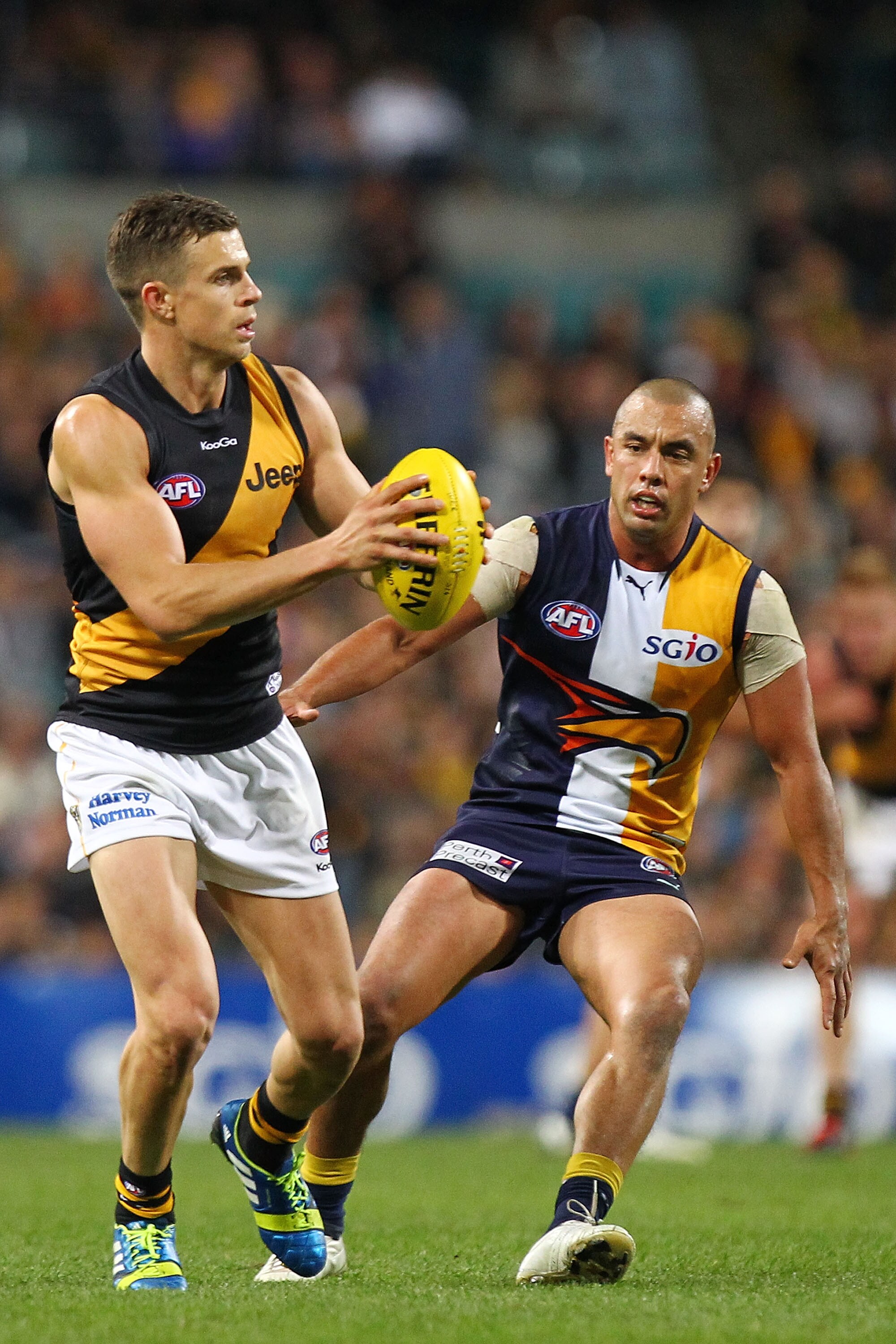Lids tops voting