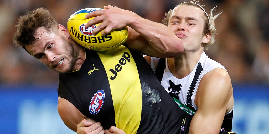 Tigers go down to Pies