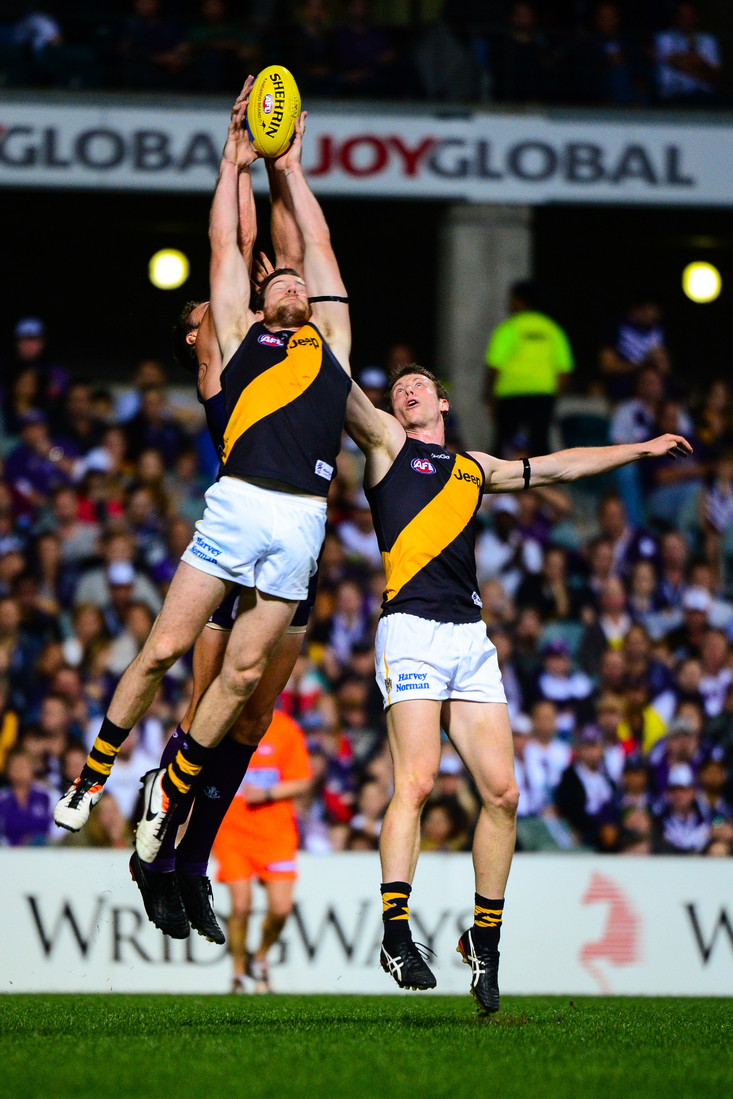 Jake Batchelor in focus