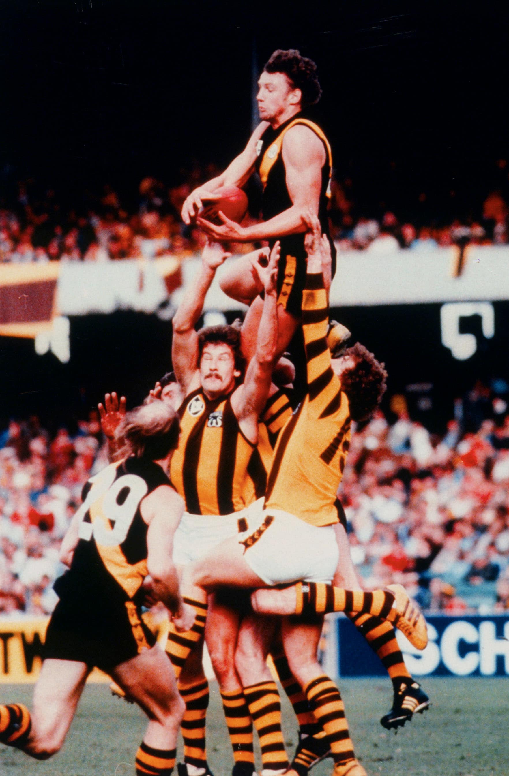 Top team of Tassie Tigers