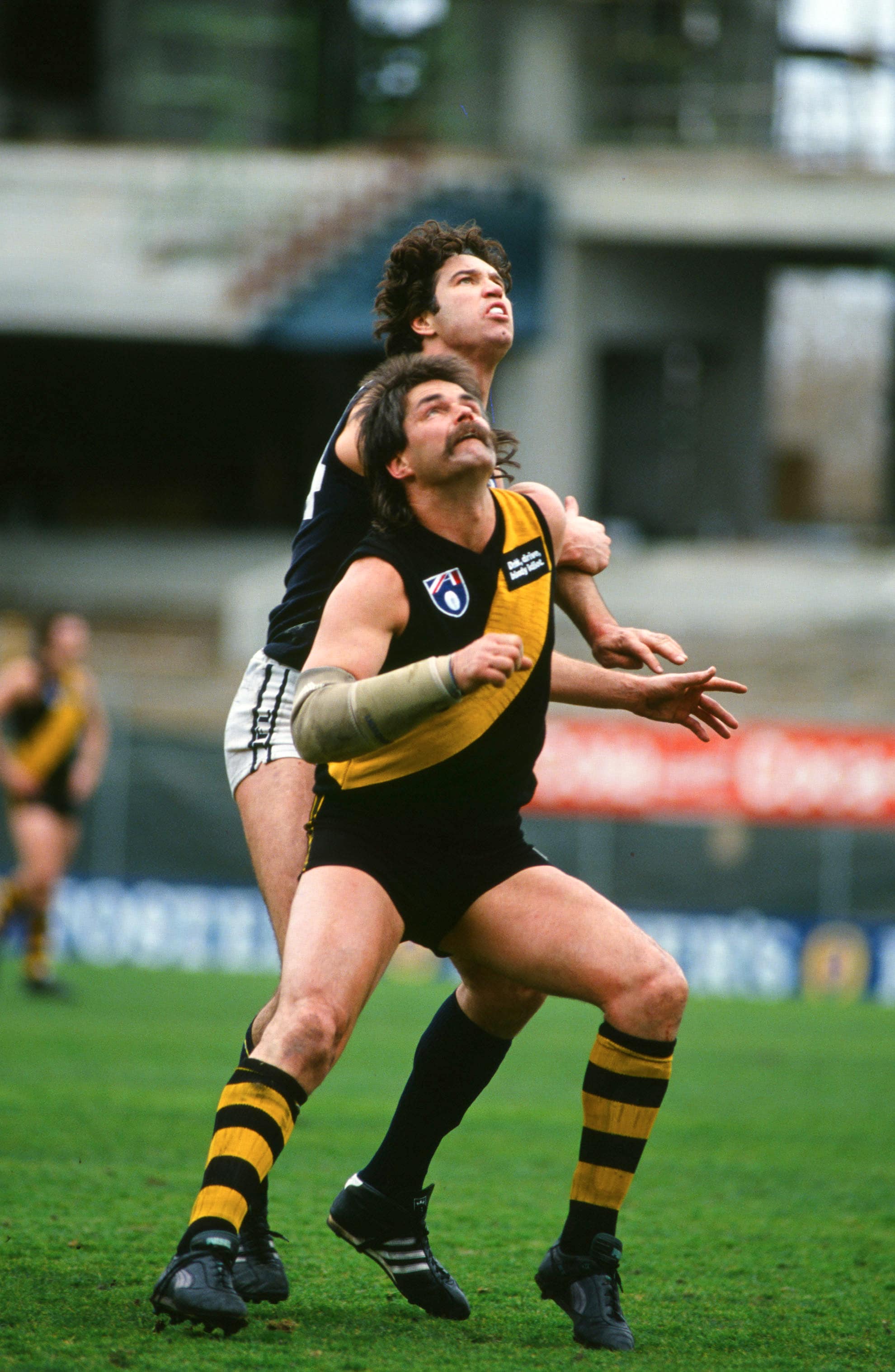 Top team of Magpie-Tigers