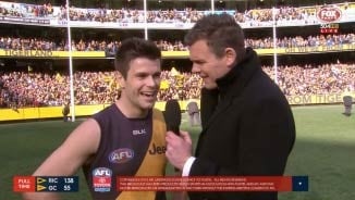 Tigers bounce back aptly