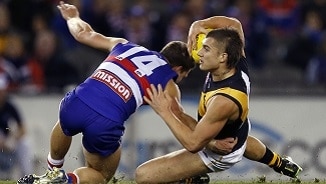 Tigers run over Dogs