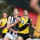 The VFL Report: Round 14