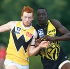 The VFL Report: Round 7