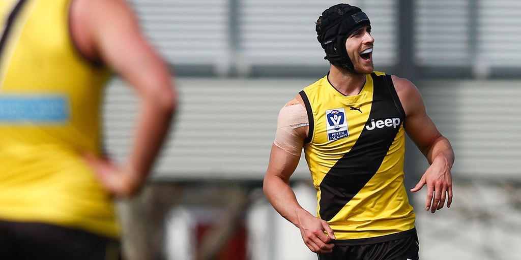 The VFL Report: Round 19