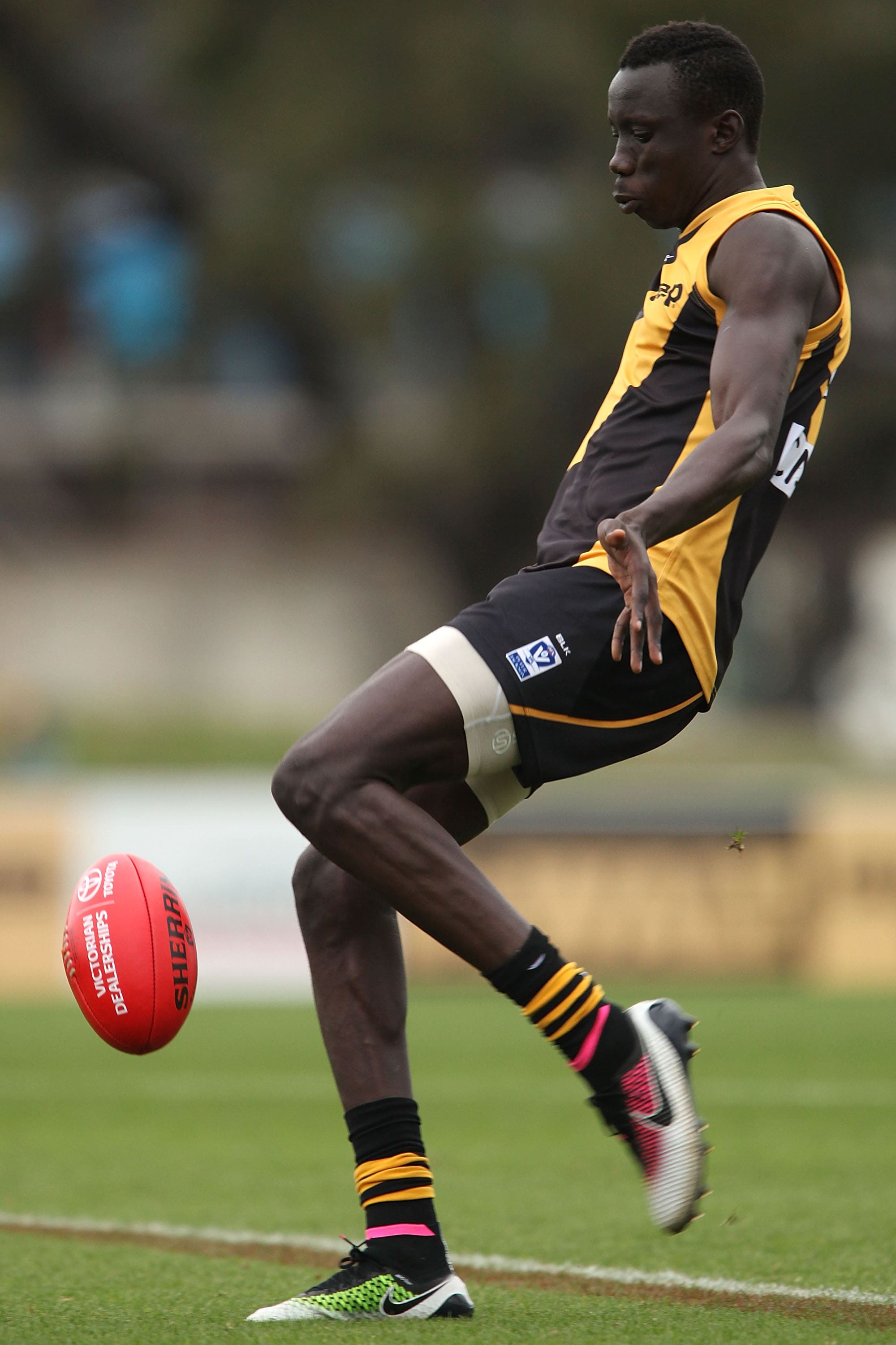 Chol to debut