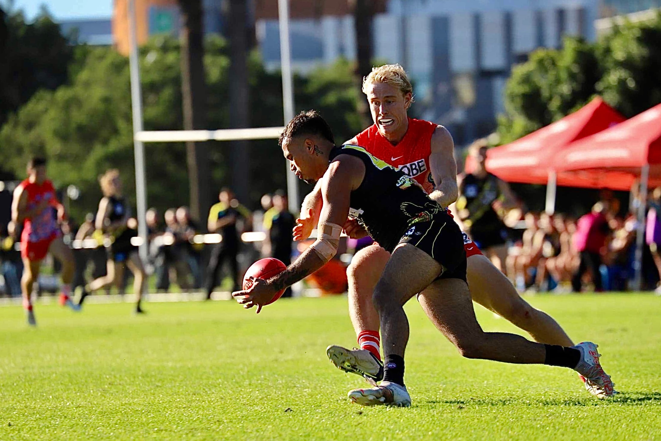 VFL Report: Round 10