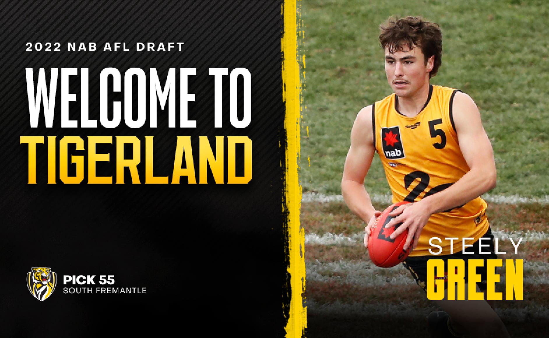 Draft Steely as Green lands at Tigerland
