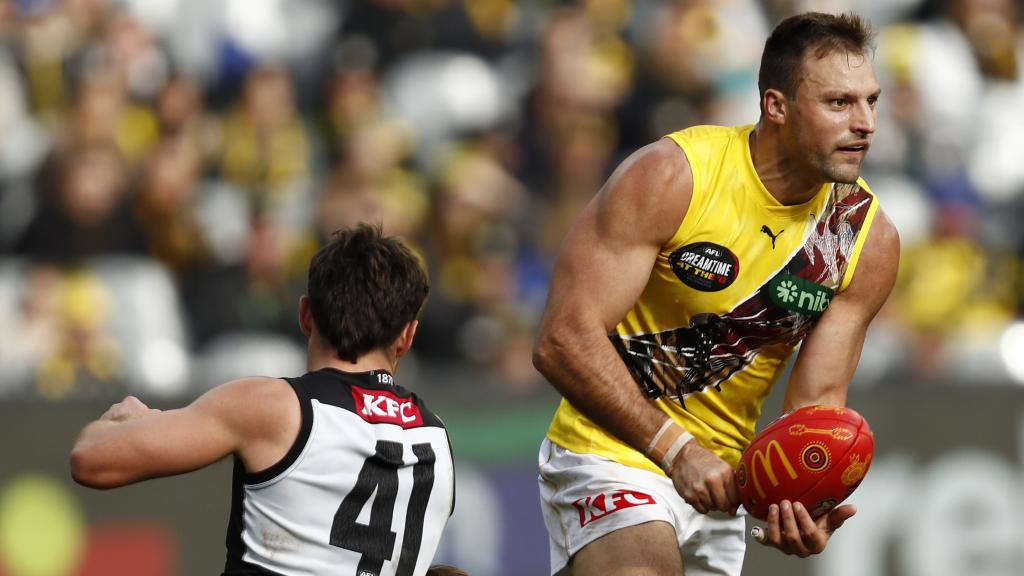 Strong and bold Tiger Toby