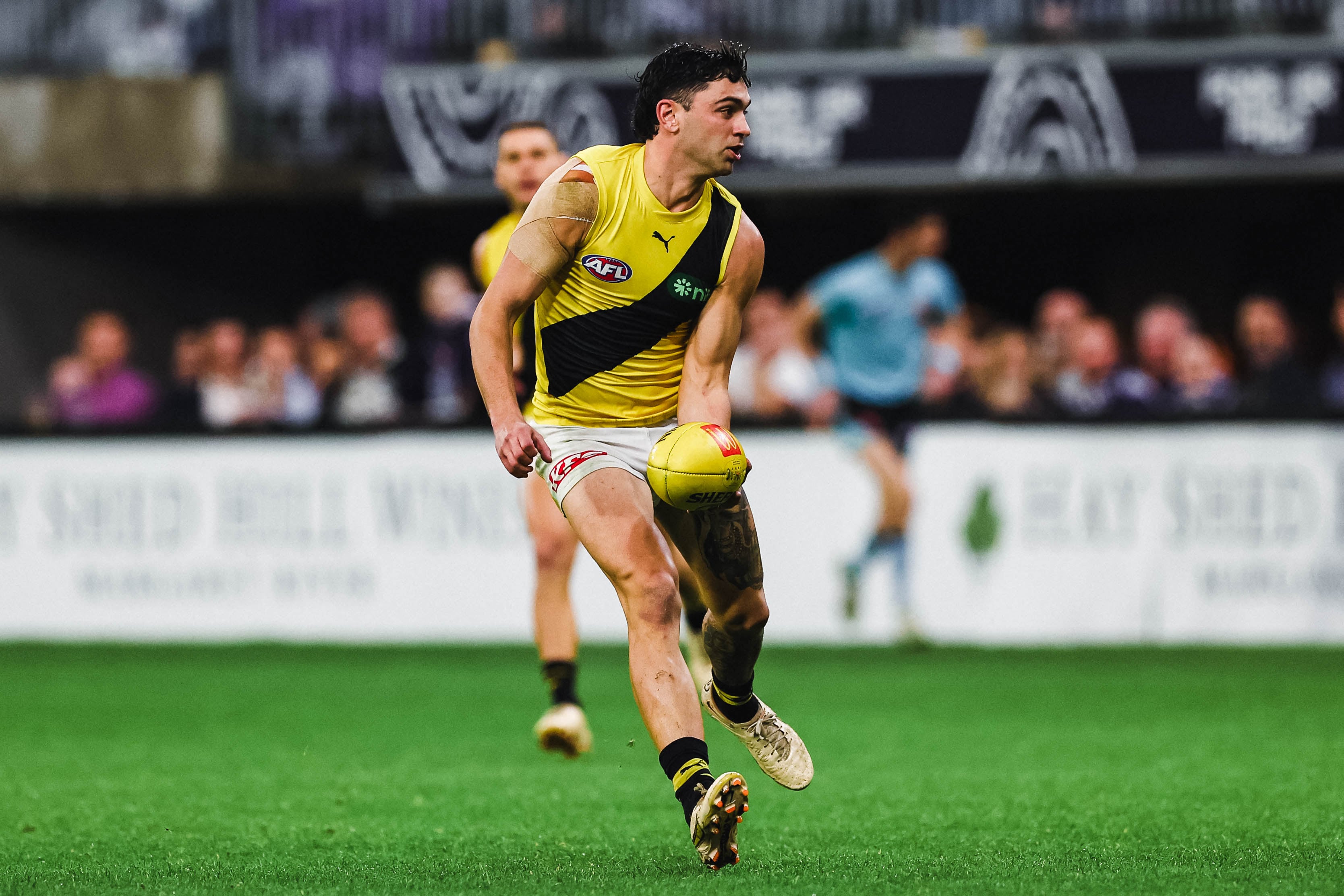 Coaches' votes, R13: Tiger Tim soaring in coaches award