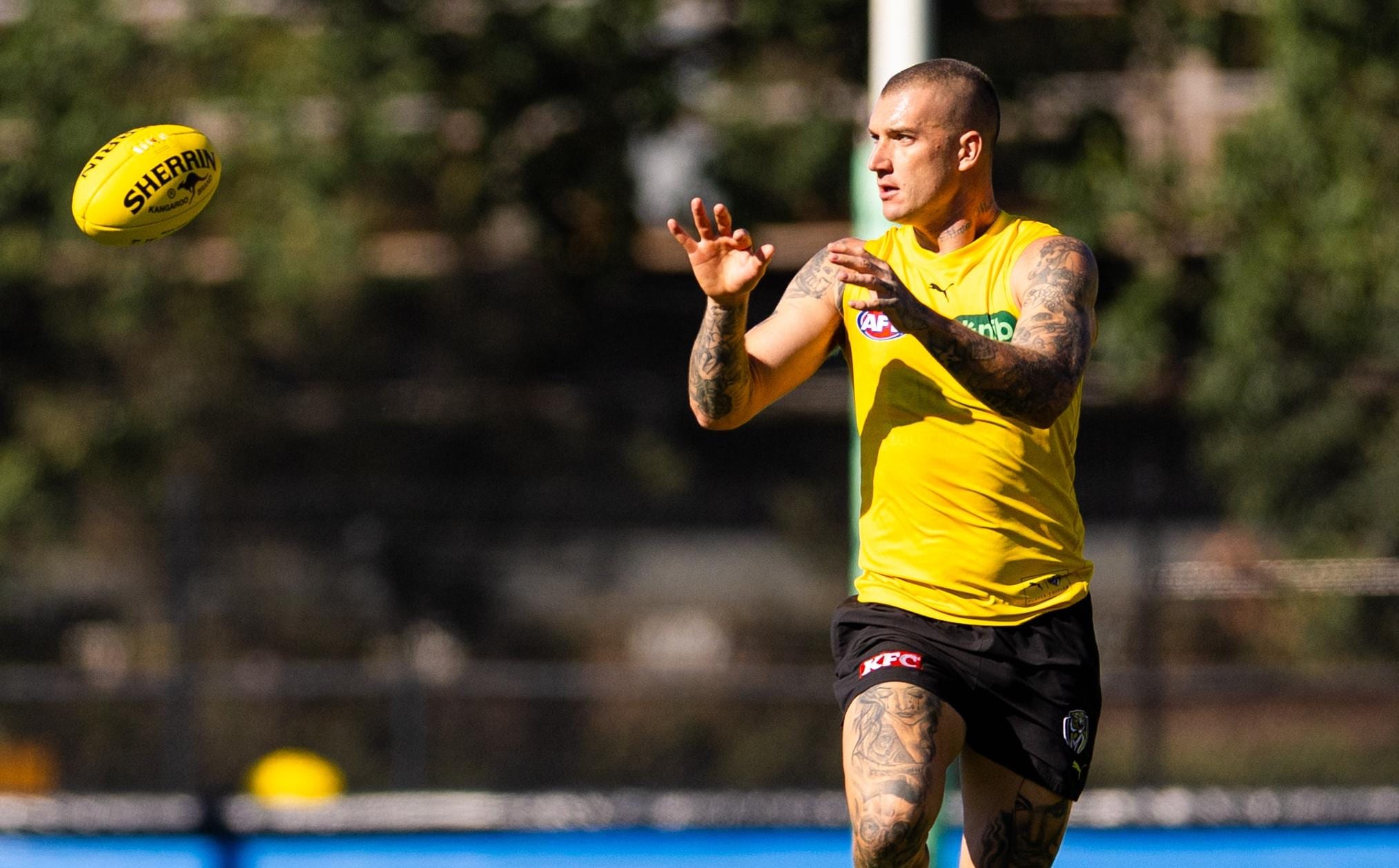 Injury Report: Opening Round, 2024