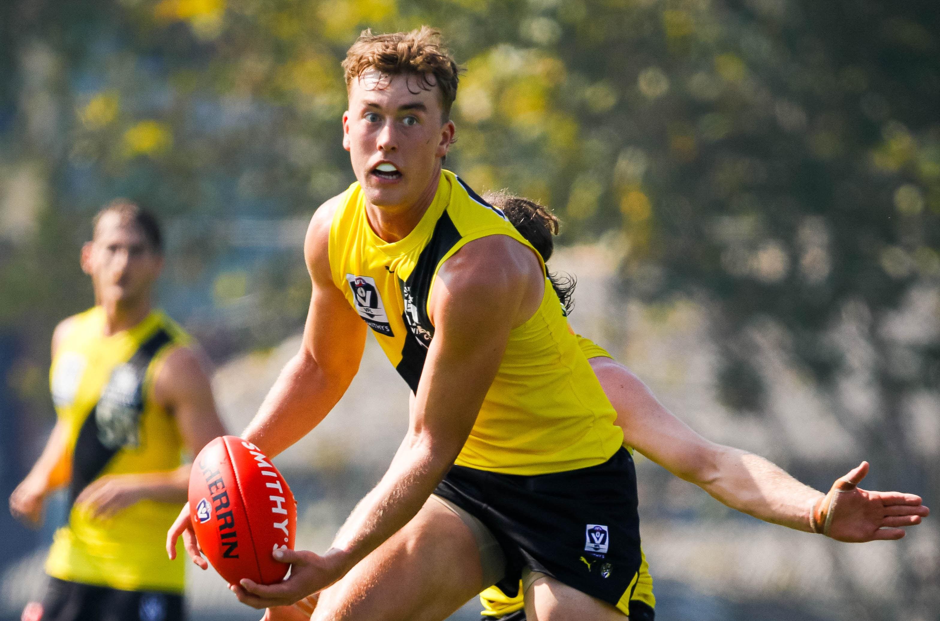 VFL Tigers add four to line-up