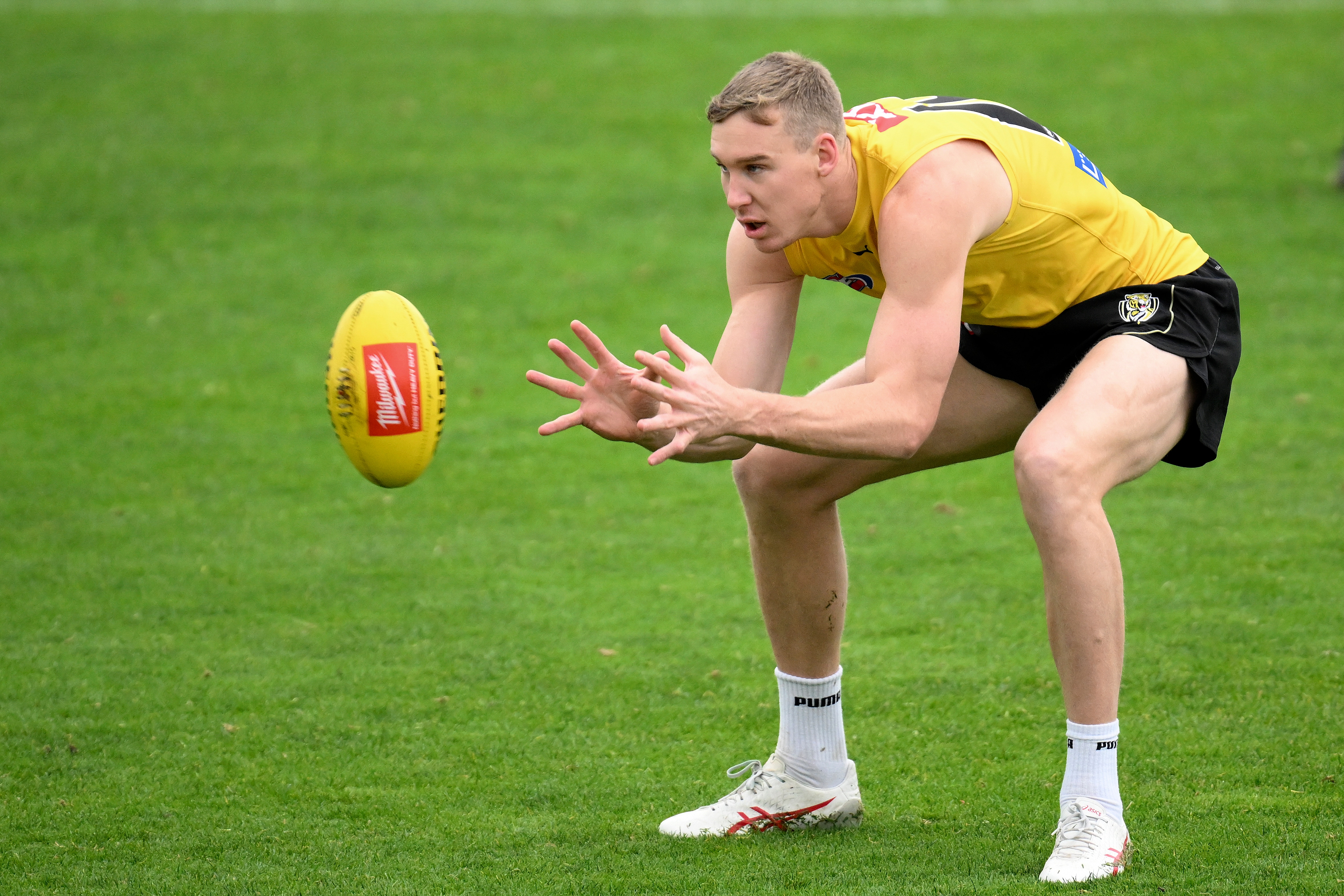Tigers to get Lynch boost for Dusty's 300th