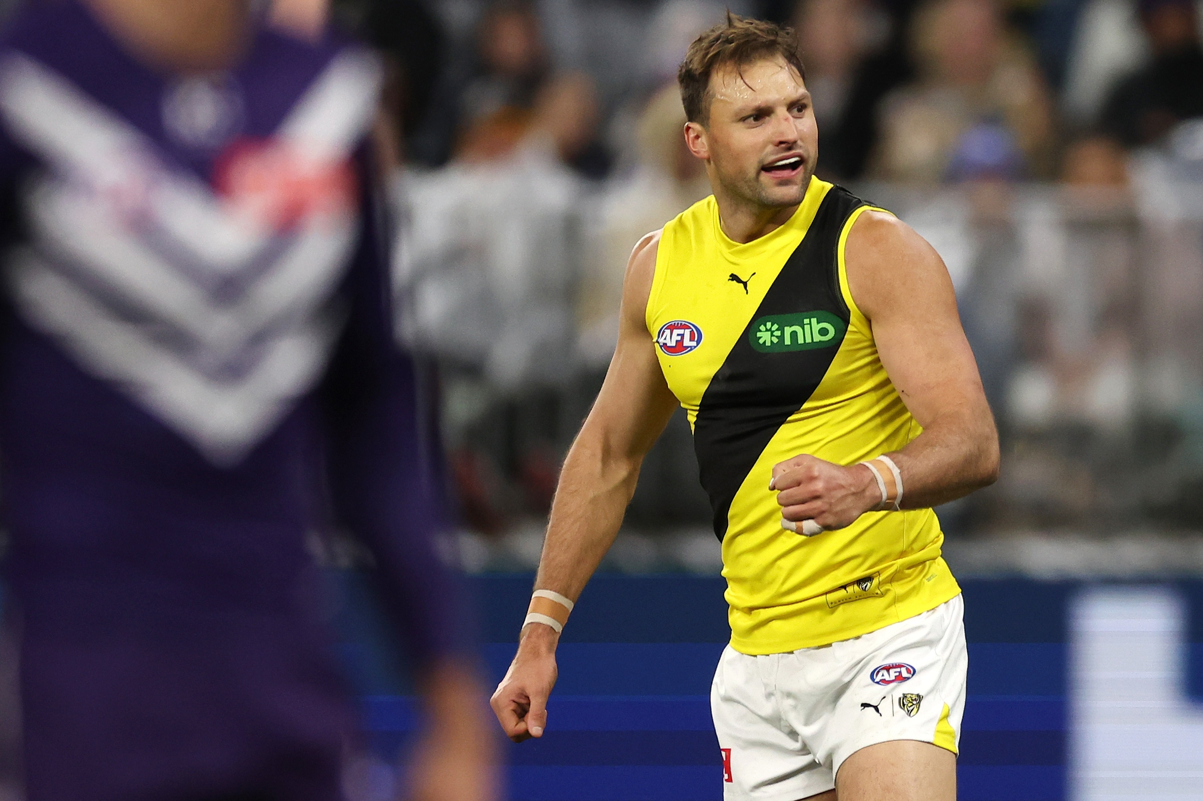 Tiger Toby in top-class form