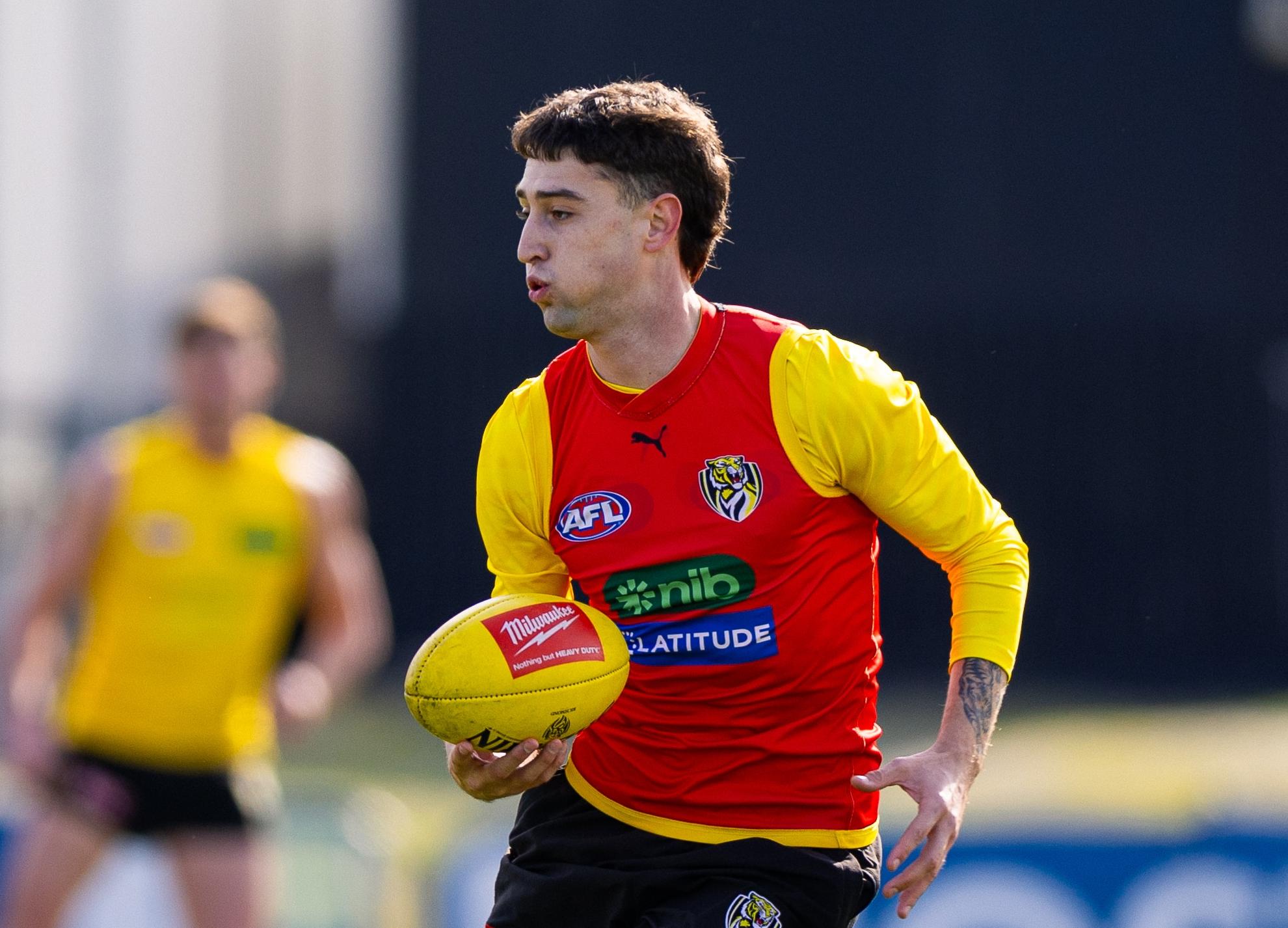 Seven Tigers added to squad