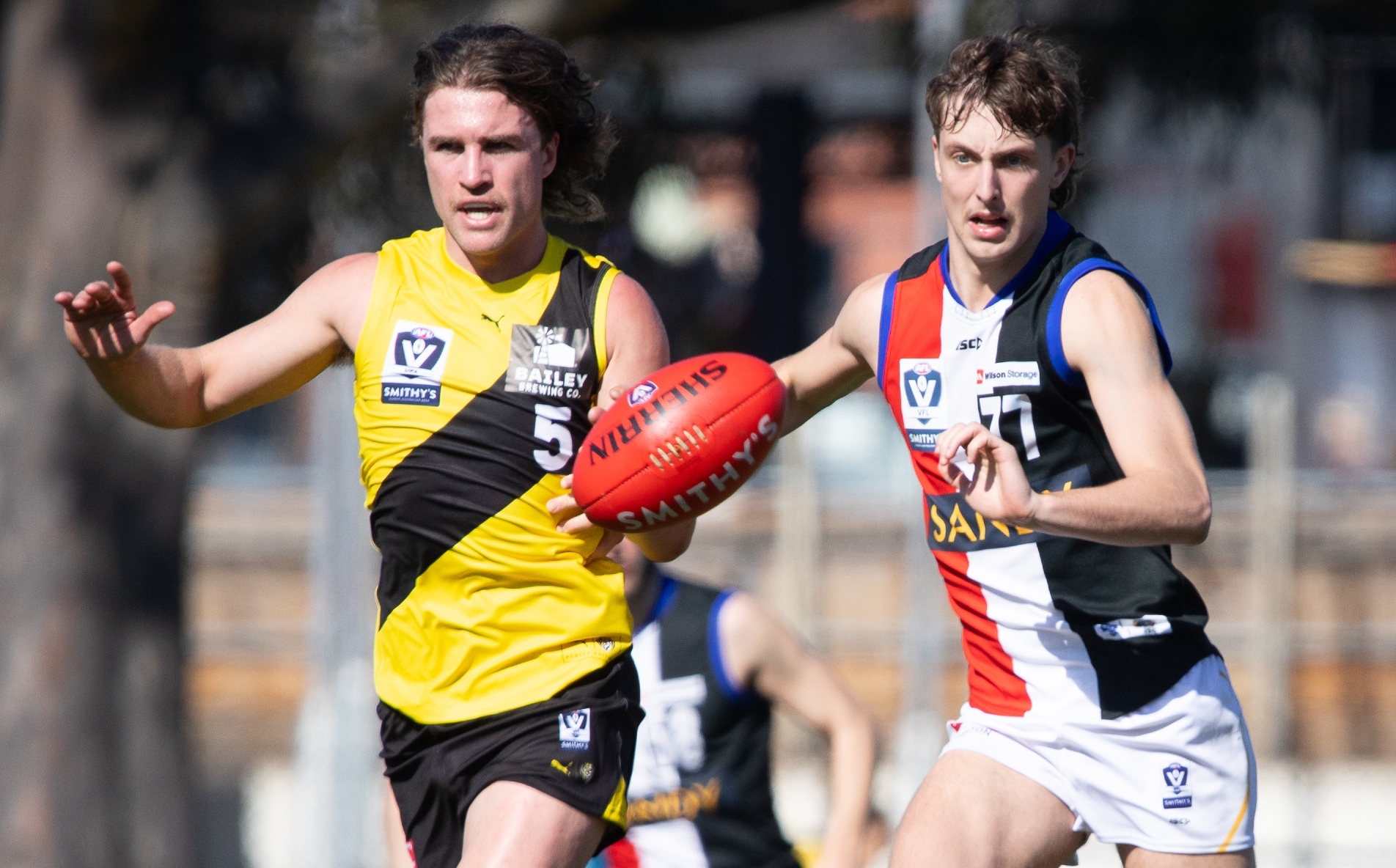Sandringham defeat VFL Tigers
