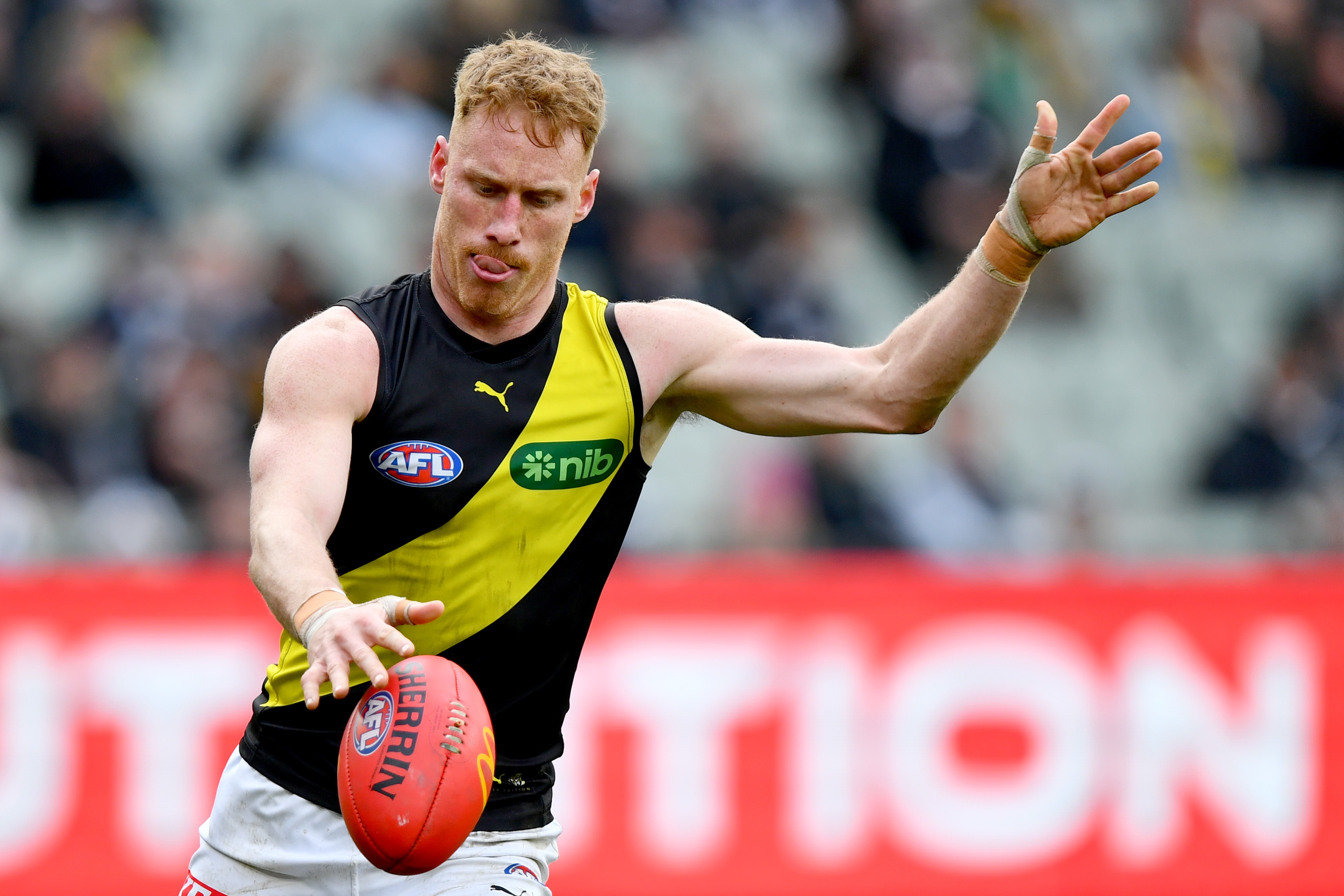 Veteran Tiger takes on new mantle