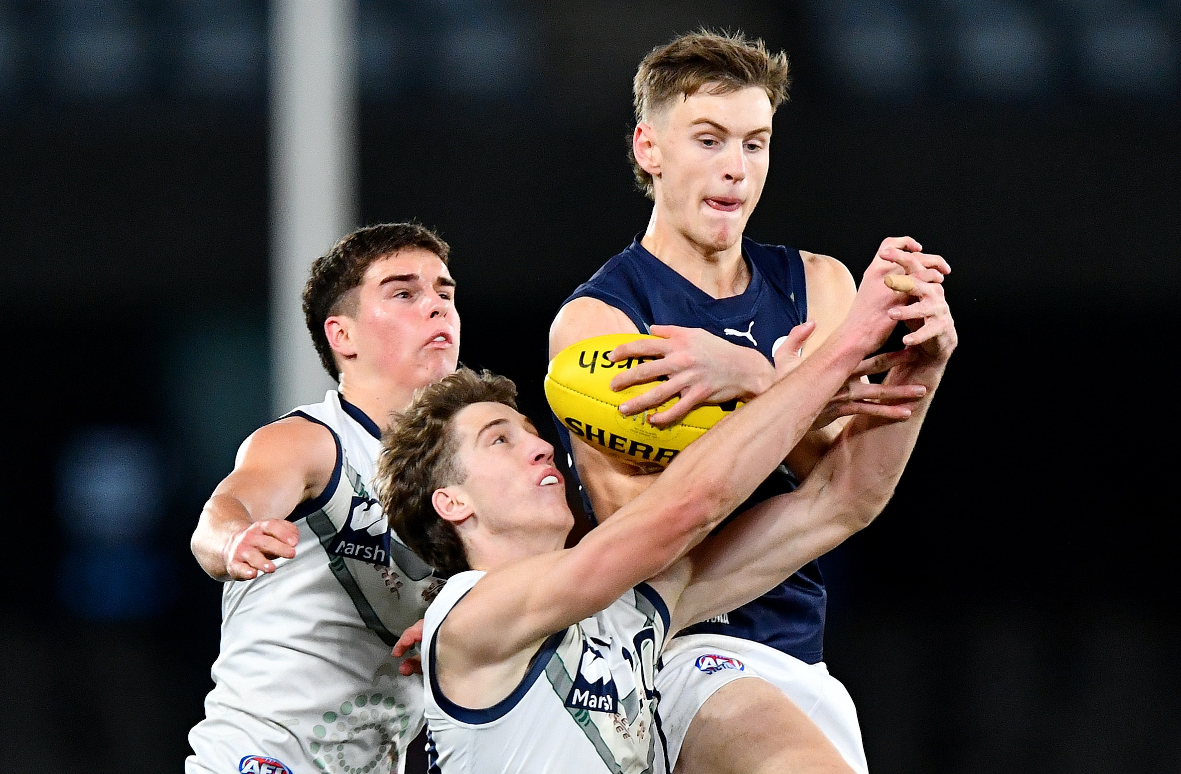 Trainor’s impressive adaptability
