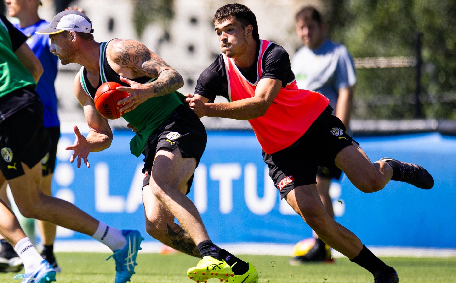 New Tiger cubs thrive on the contest