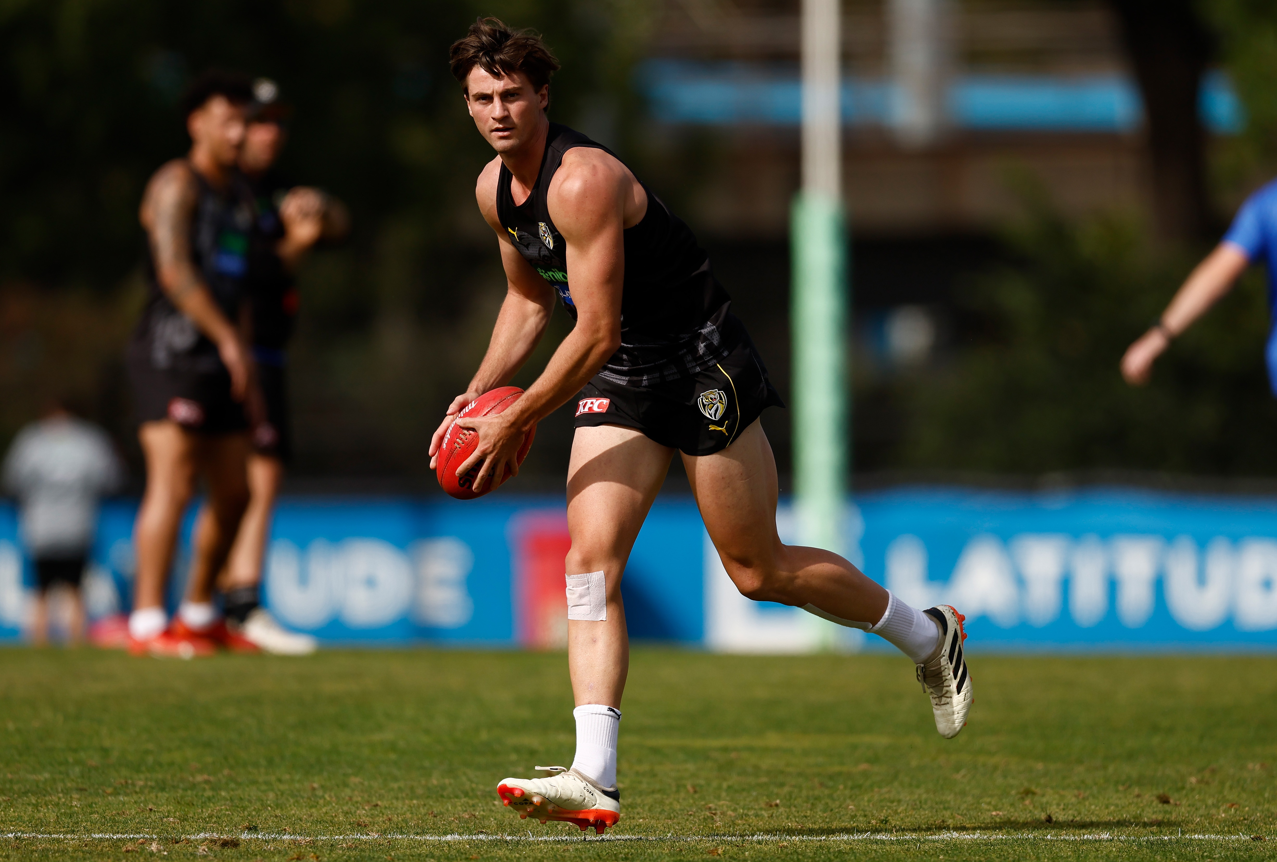 Blight burning bright in pre-season