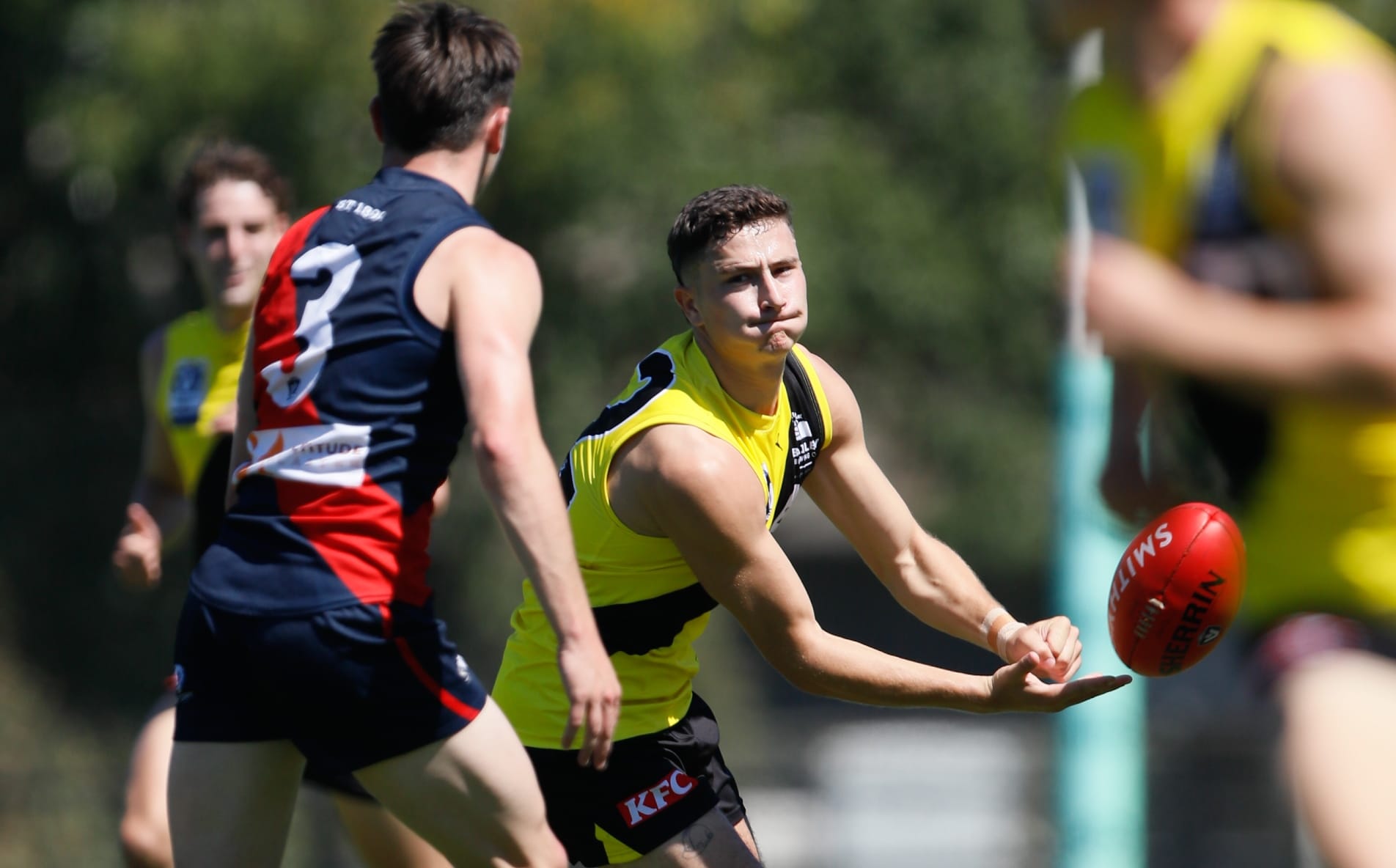 LIVE NOW: VFL Practice Match v Coburg