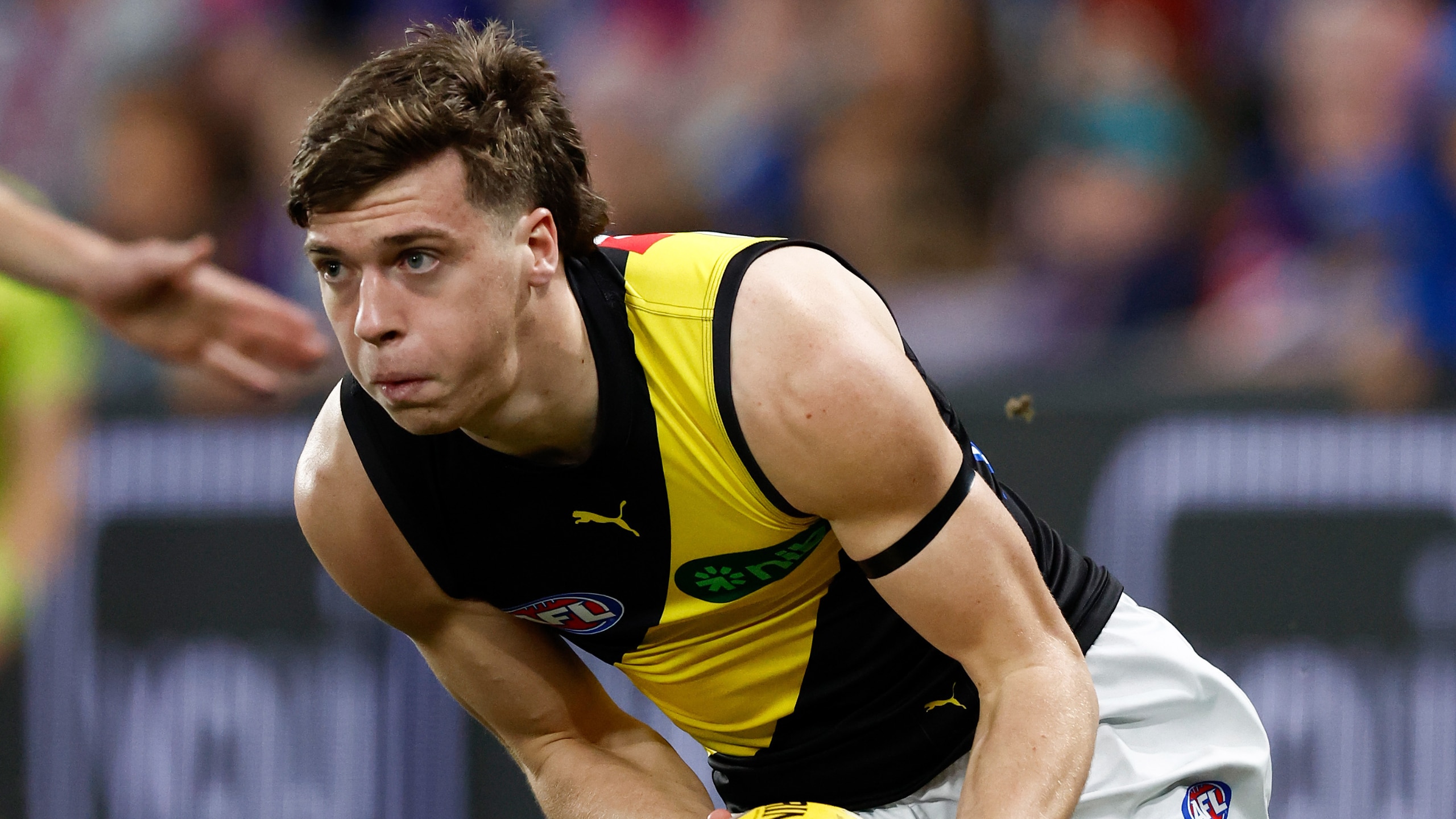 Impressive number of recent Tiger debutants