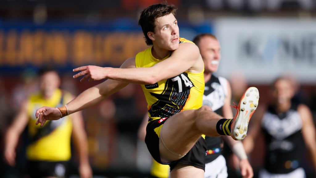 Player by player VFL report: Round 16