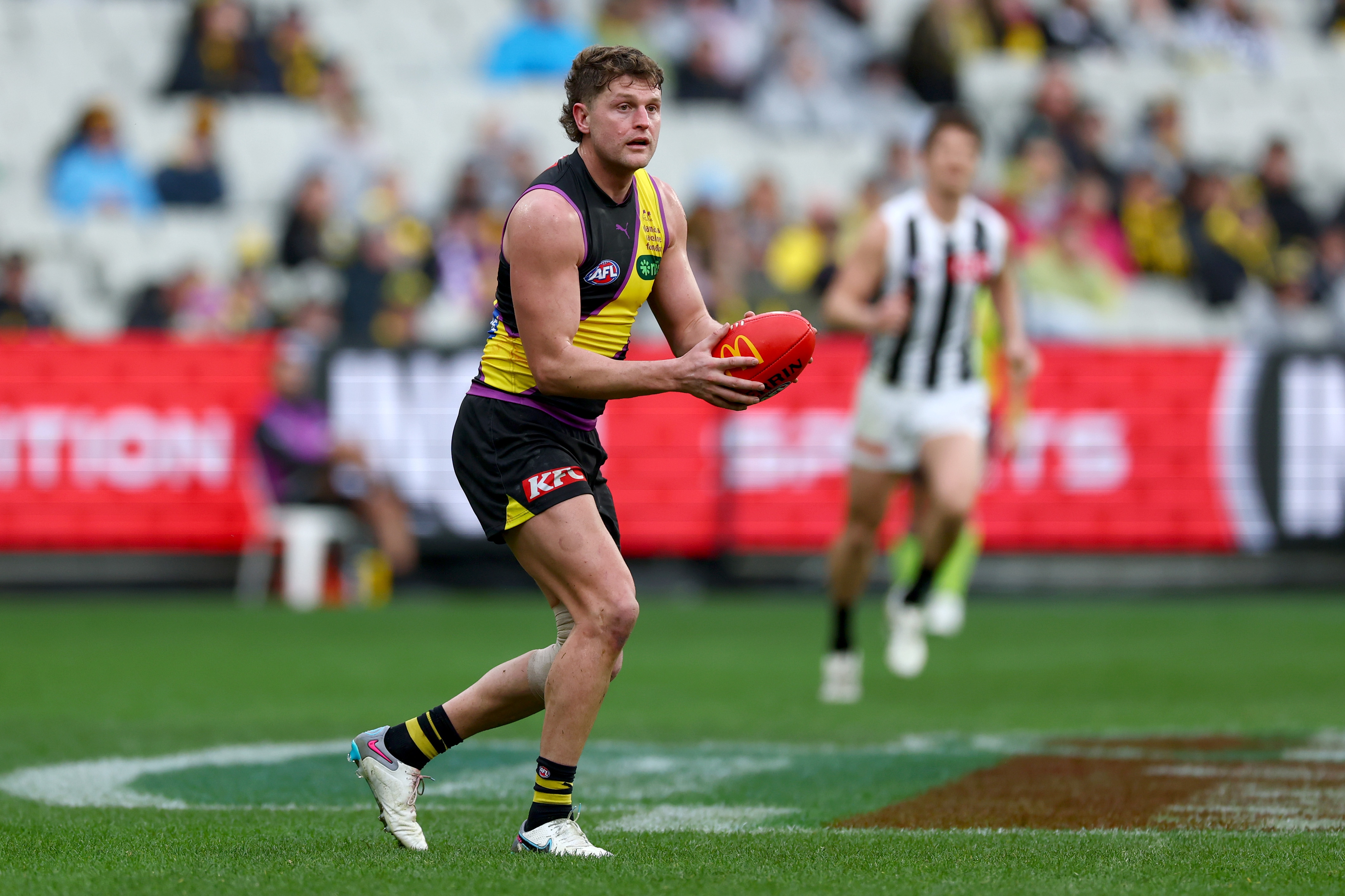 Healthy Hopper thriving