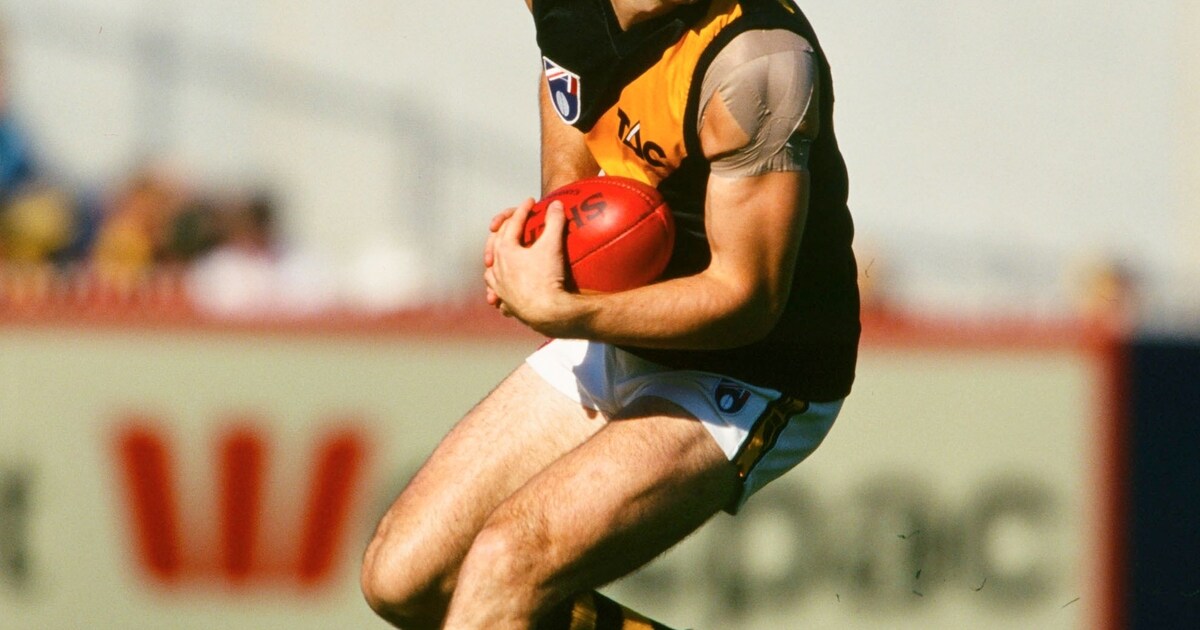 Recruit Zone: Versatile Harrison a handy Tiger pick-up