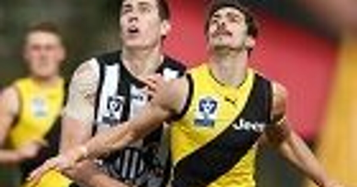 The VFL Report: Round 14