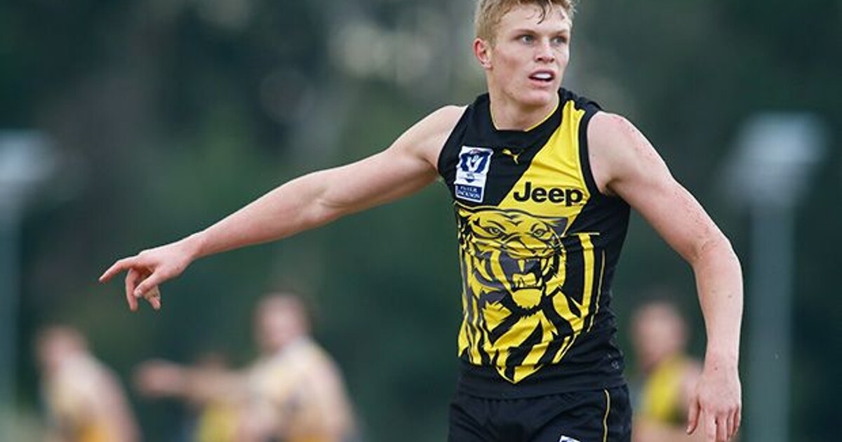 Tale of two talented Tiger cubs