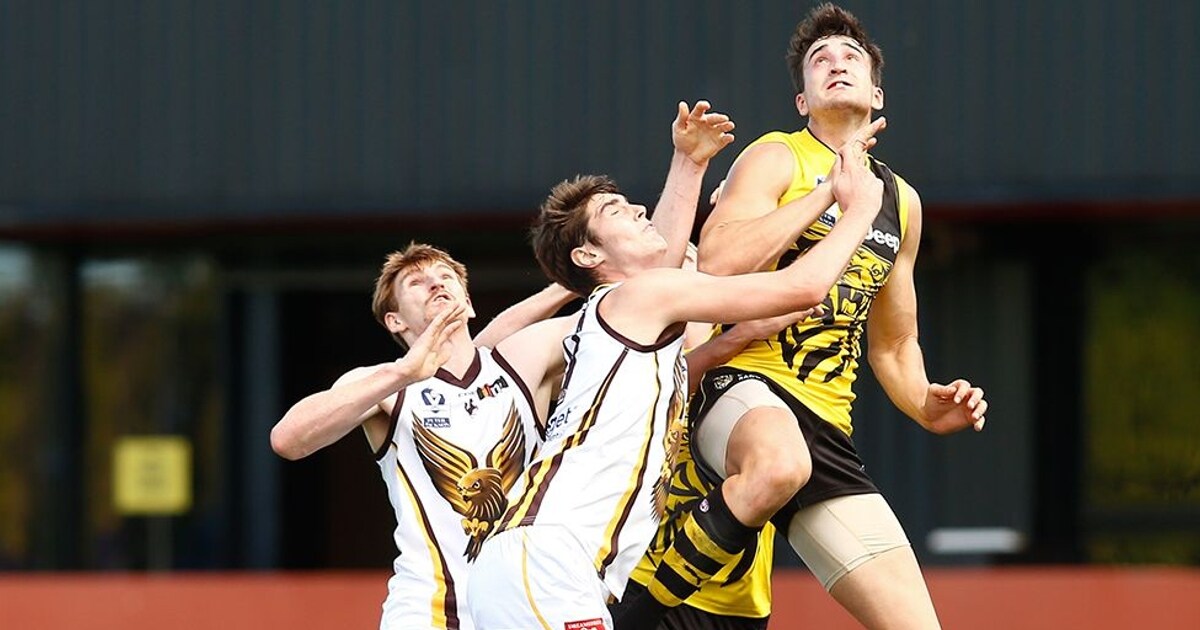 Richmond VFL live stream