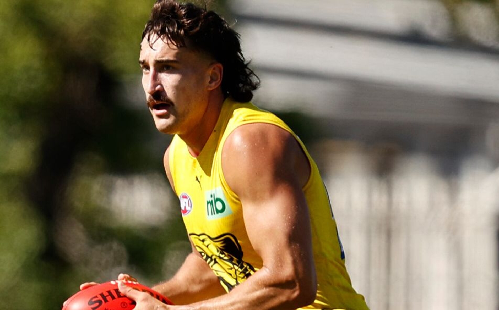 AFL Lookalikes - AFL Look-a-Likes: Chapter 6 | Page 232 | BigFooty Forum