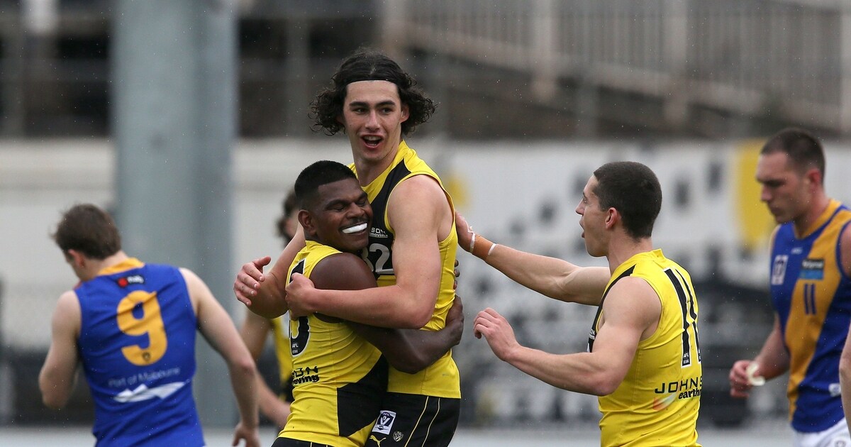 VFL Tigers flex their muscles in win over Williamstown