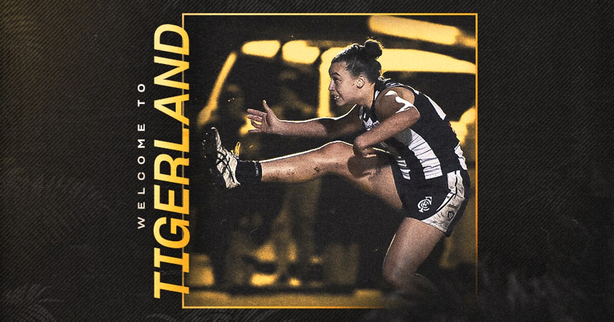 Shelby Knoll lands at Tigerland
