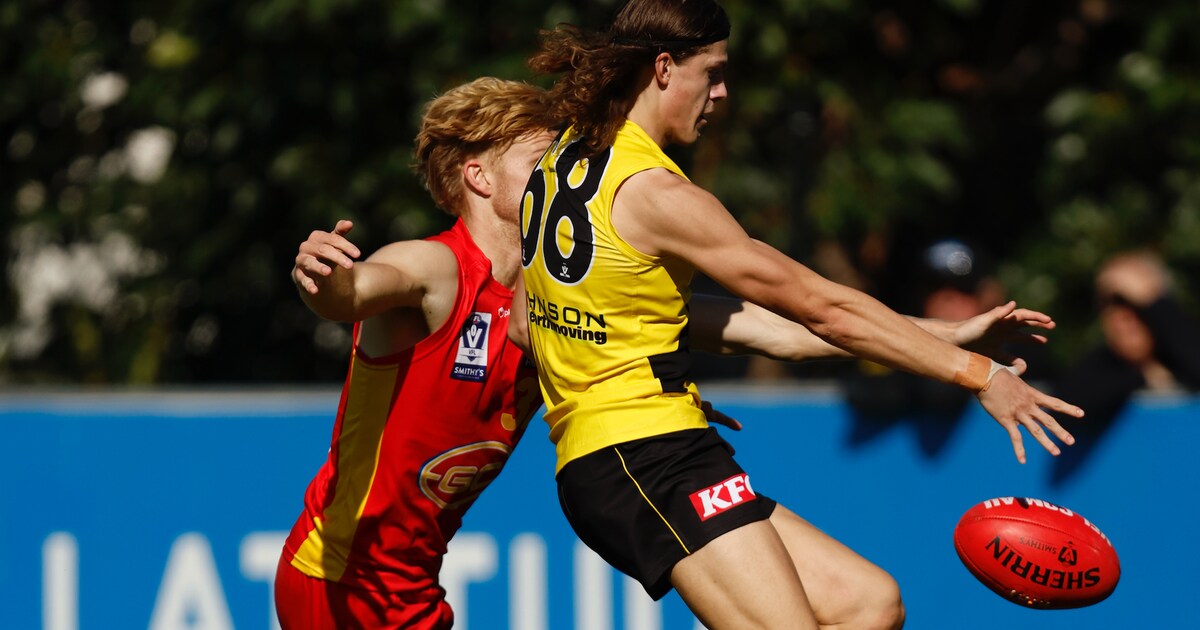 Trezise VFL round-by-round summary