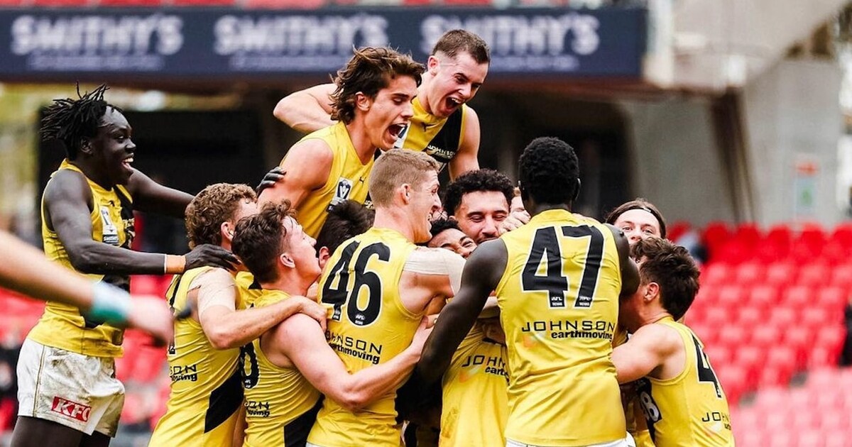 VFL Report: Round 11