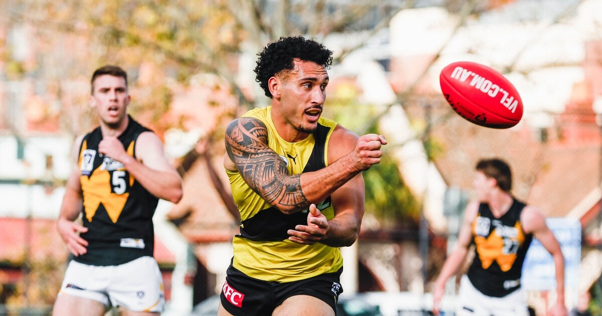 VFL Tigers fall to Werribee