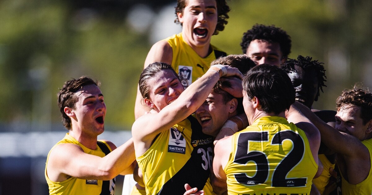 VFL Round 15, 2023: Richmond v Brisbane