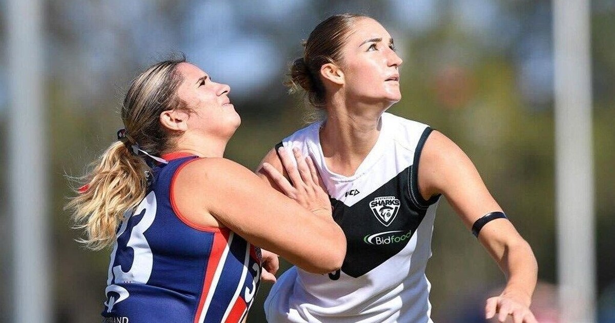 Lilly Pearce Highlights