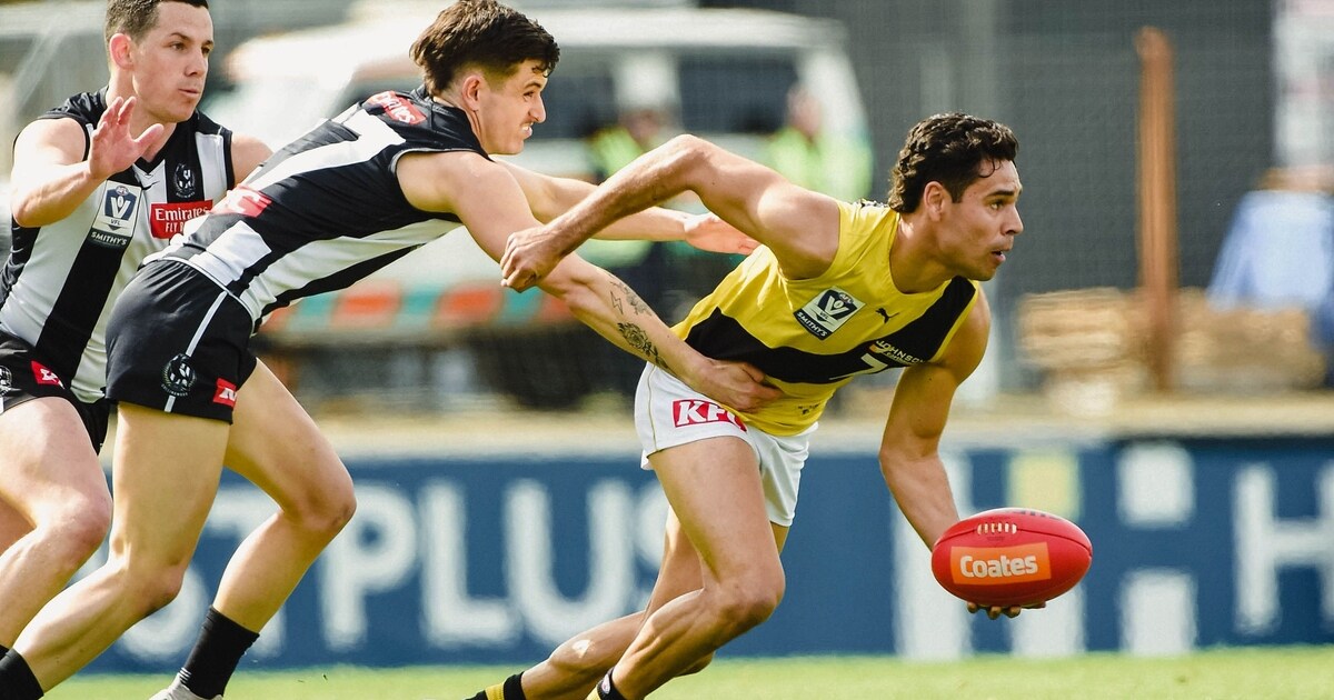 VFL Tigers’ season comes to an end at the hand of the Pies