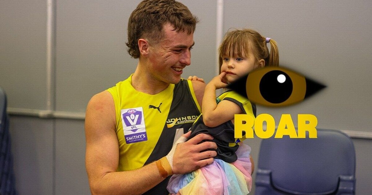 ROAR: Soaring with Steely