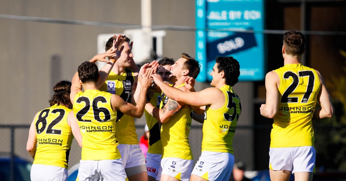 VFL Tigers dominate Northern Bullants