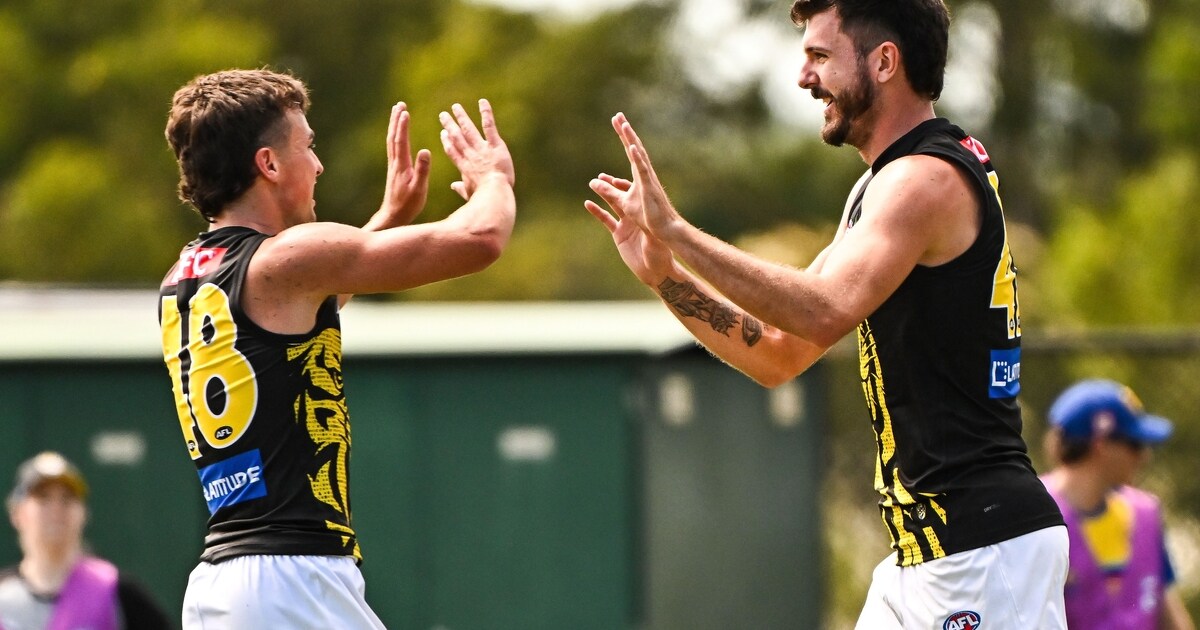 AFL 2025 Match Simulation - West Coast v Richmond