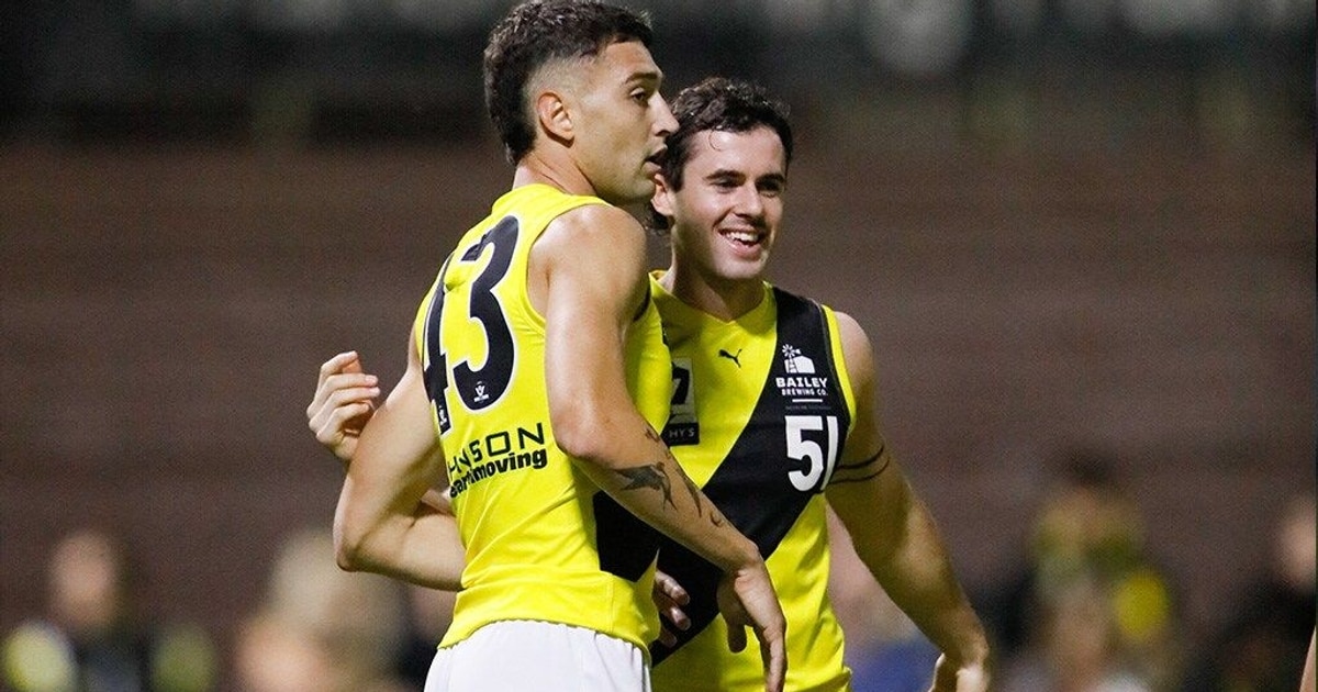 VFL Round 4: Bauer with the slick pick-up
