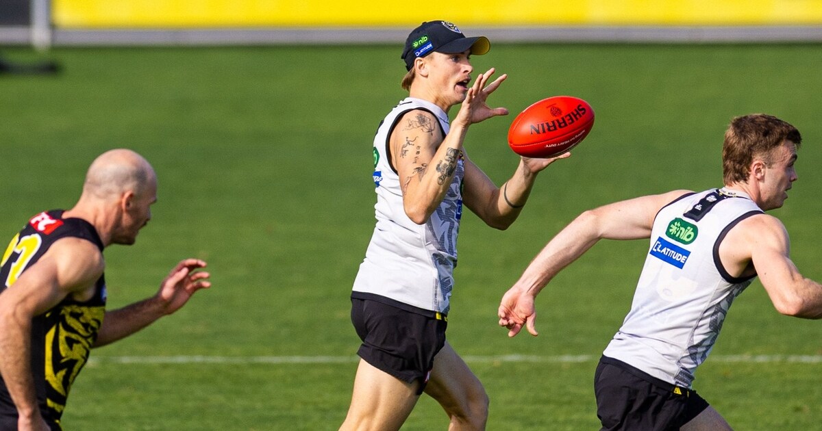 AFL Training: May 15, 2025