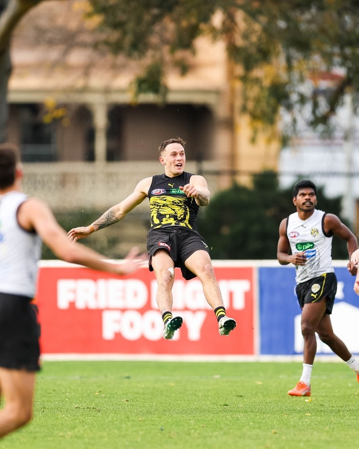 Player Watch - #7 Rhyan Mansell - Foot - Return Round 15 | Page 37 ...