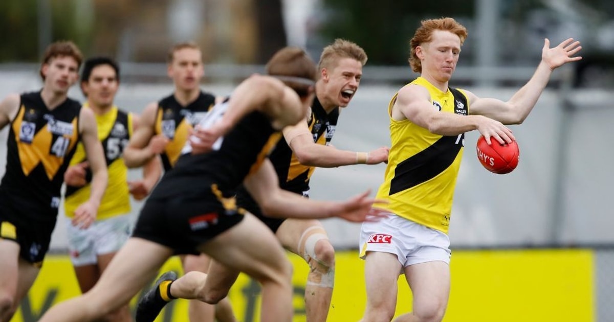 VFL Round 18: Ferguson's classy goal