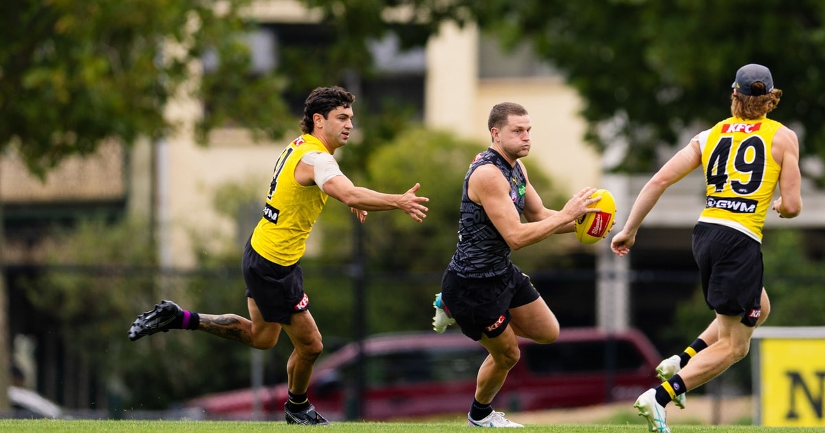 AFL Match Simulation: February 13, 2026
